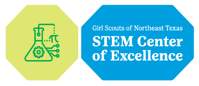 Texas Instruments GSNETX Girl Powered Event : Robot Events